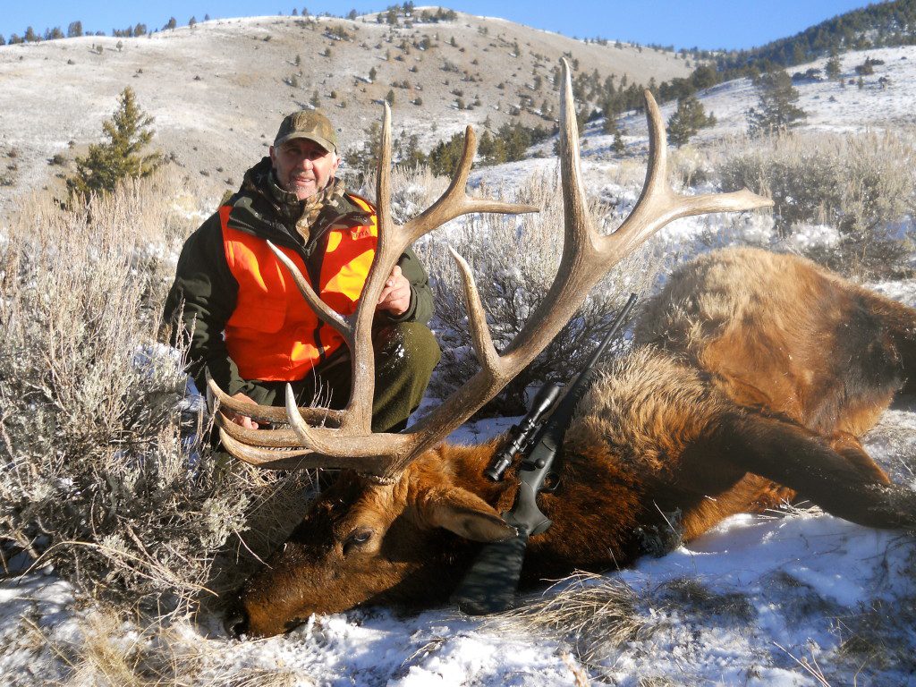 2013 Elk Hunting Photo Gallery | Hell's A-Roarin' Outfitters
